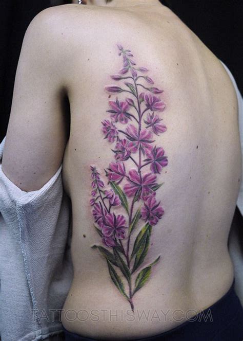 Discover 99 Fireweed Drawing Tattoo Ideas And Fireweed Flower Tattoo