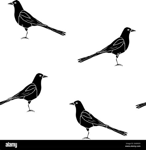 Vector Seamless Pattern Of Black Magpie Bird Stock Vector Image And Art