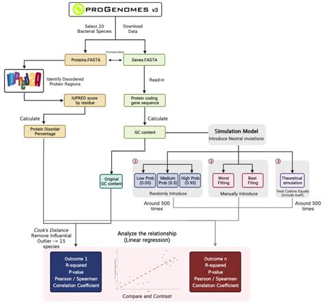 GitHub HuangYutong Simulation Of GC Content Evolution