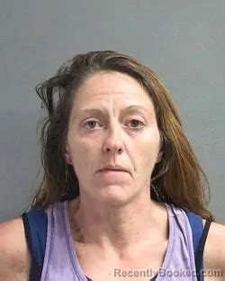Sara Jean Gilson Arrest And Booking Info Volusia County Fl