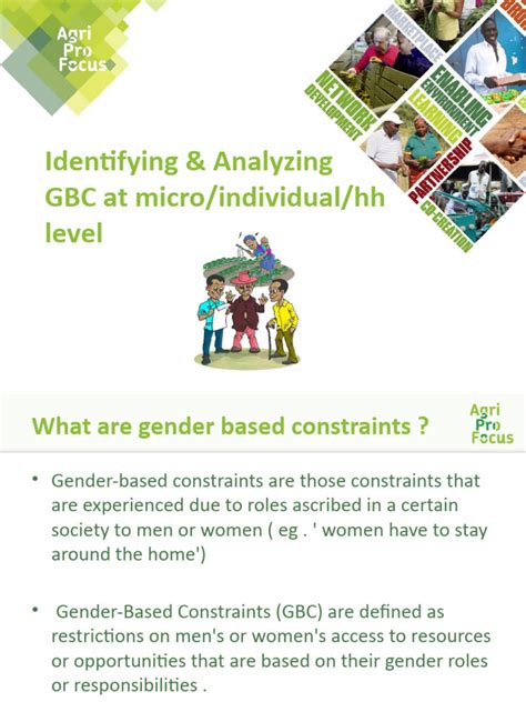 Identifying And Analysing Gender Based Constraints Apfandfs Pdf