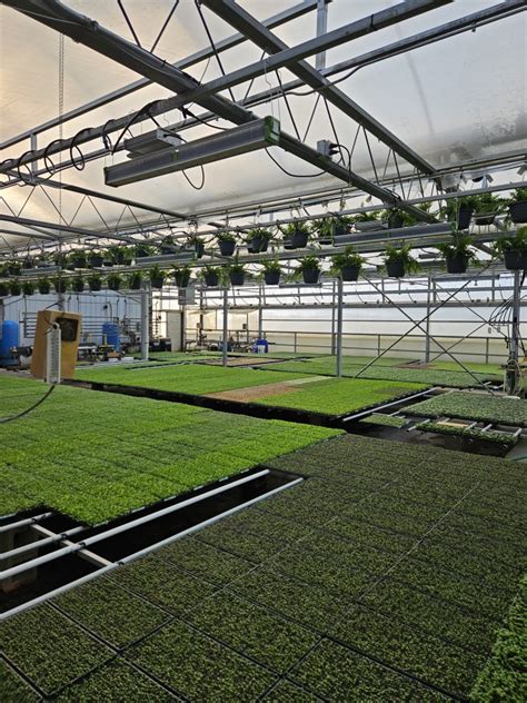 Busting Myths Maximizing Savings With TotalGrow HI Tops