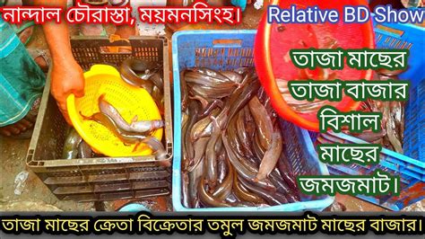 ক্রেতা বিক্রেতার ঝড় নান্দাল চৌরাস্তা তাজা মাছের শহর। তমুল জমজমাট