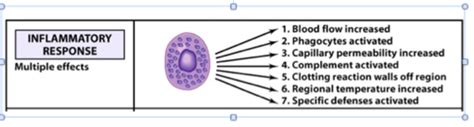 Innate Immunity Flashcards Quizlet