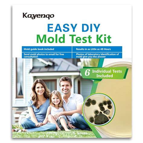 Mold Test Kit For Home 6 Simple Detection Teststest Hvac Systemhome