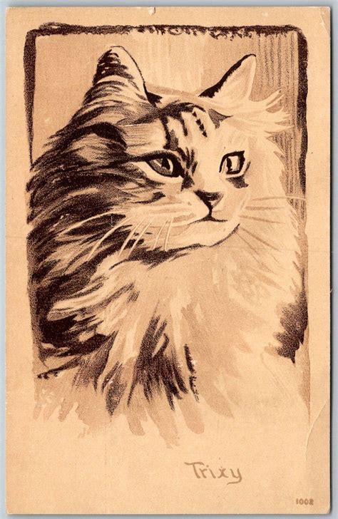 Trixy The Cat C1910 Postcard Other Unsorted Postcard Hippostcard