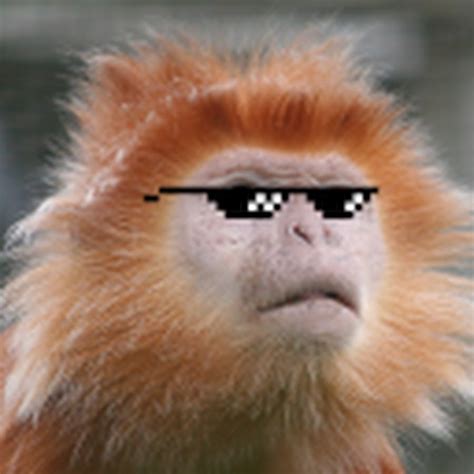 Dan Dingle Youtube