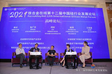 第十二届中国硅行业发展论坛 铁合金行业会议