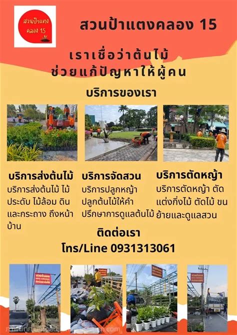 บริการรับจัดสวน ดูแลสวน สวนป้าแตงคลอง 15 โดยสวนป้าแตง คลอง 15 จ นครนายก