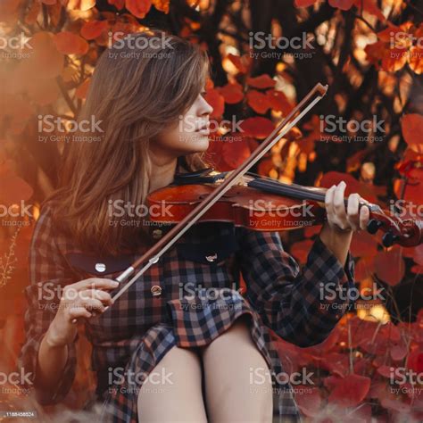 빨간 덤불의 배경에 바이올린과 함께 땅에 앉아 아름다운 젊은 여성 자연악기의 현을 따라 활을 선도하는 드레스 소녀 취미와 예술의 개념 Classical Concert에 대한
