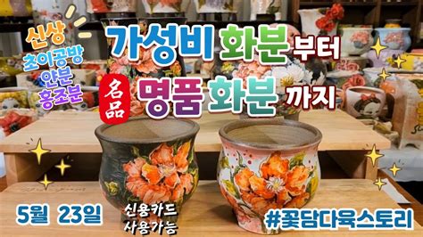 5월 23일 가성비 화분부터 명품 화분까지 화분 꽃담다육스토리 예쁜화분 화분싸게파는곳 다육식물 多肉植物succulents 다육이 꽃담화분 Youtube