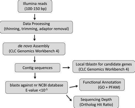 Transcriptome Analysis Methods