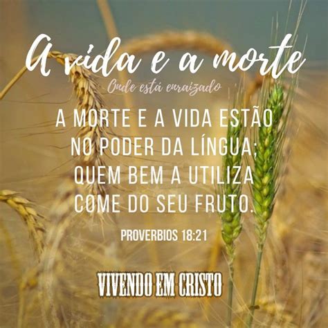 130 Melhores Ideias De Vivendo Em Cristo️️ Mateus 7 24 Frases De