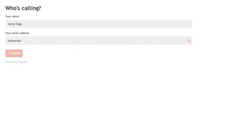 Best Practices For Contact Forms 2022 Tripetto Blog