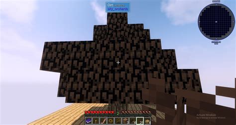 Anyone Know How I Fix I Installed Shaders Then The Tree Was Like I Think I Did Something In