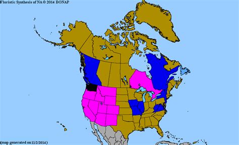2013 Bonap North American Plant Atlas Taxonmaps