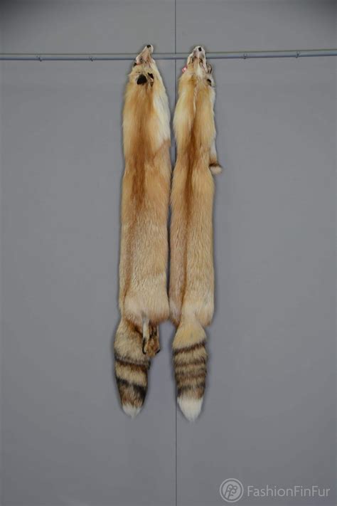 2pcs Platinum Gold Fox LOT | FashionFinFur