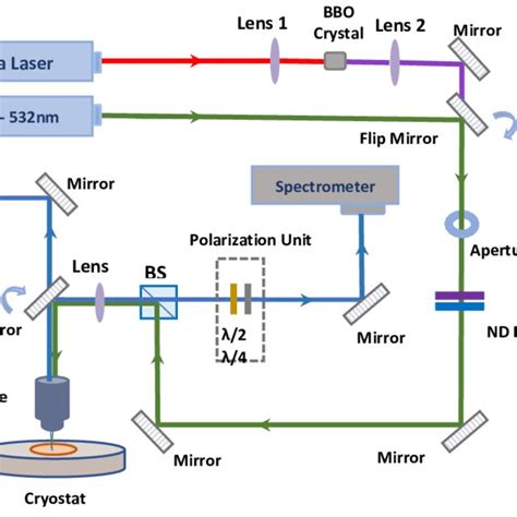 Figure S1 Schematic Of Pl And Polarization Resolved Measurement Setup Download Scientific Diagram
