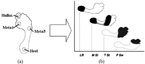 Figure 1 From Computational Intelligent Gait Phase Detection System To