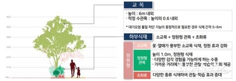 서울시 도심의 열과 대기오염 차단효과 높은 가로수 식재 방안 마련