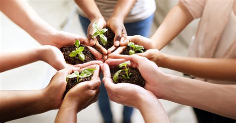 Women Are Rising In The Conservation Movement But Still Face Metoo