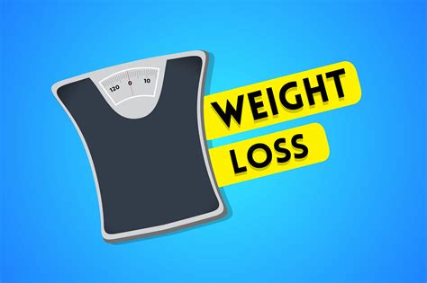 Free Weight Loss Animation Vector Art Download 797 Weight Loss