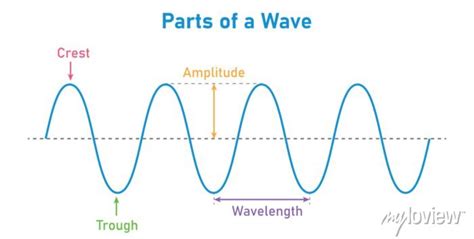 Parts Of A Transverse Wave In Physics The Basic Properties Of • Adesivos Para A Parede