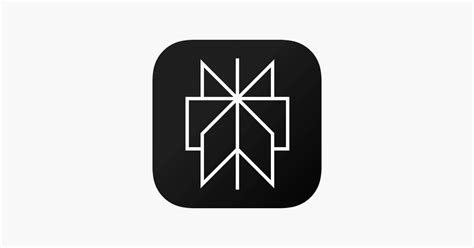 Perplexity Ask Anything On The App Store
