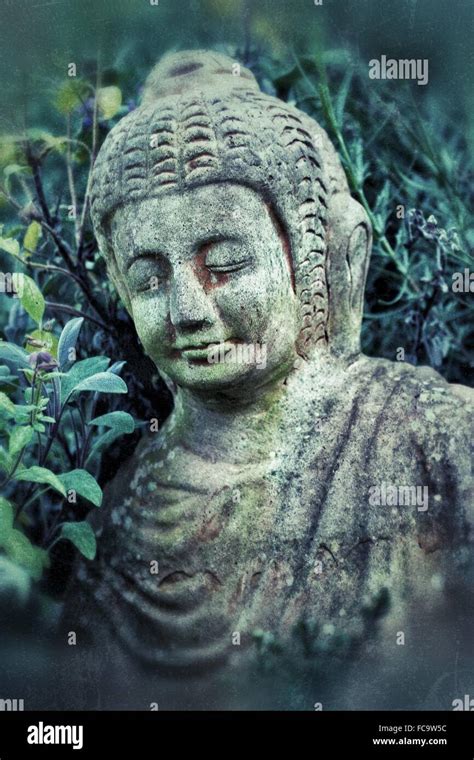 Budda Hi Res Stock Photography And Images Alamy