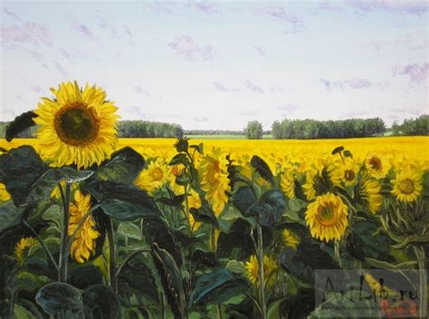 Авторские галереи Репин Дмитрий Петрович Подсолнухи Живопись [Пейзаж]