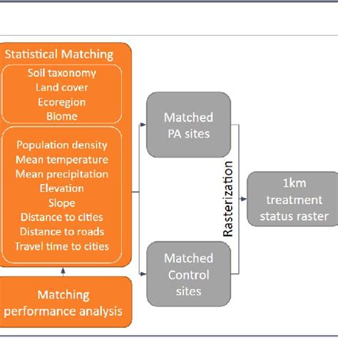 Conceptual Diagram Illustrating The Study Workflow Download