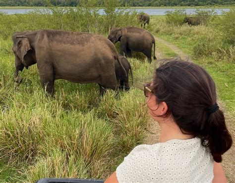Fahmy Sally Tour Guide Sri Lanka Colombo All You Need To Know
