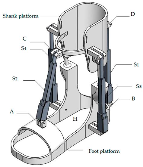 Cad Model Of The Ankle Exoskeleton Components And Their Assembly In Download Scientific Diagram