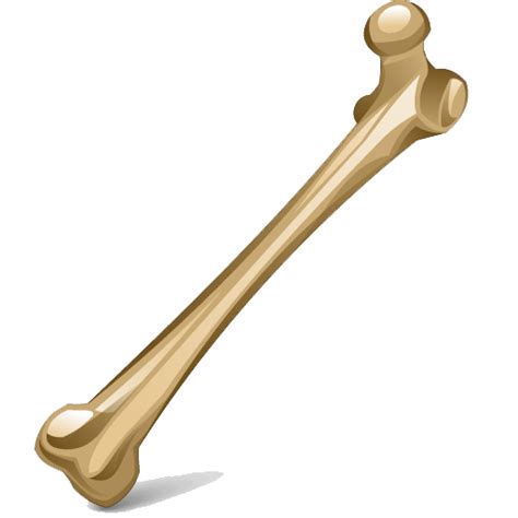 Human Bone Clipart