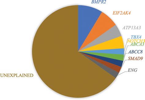Contribution Of Known Pah Risk Genes In The Pah Cohort N 48 Cases Download Scientific Diagram