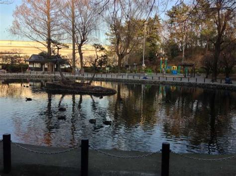 赤塚公園～東京で散歩やウォーキングができる公園