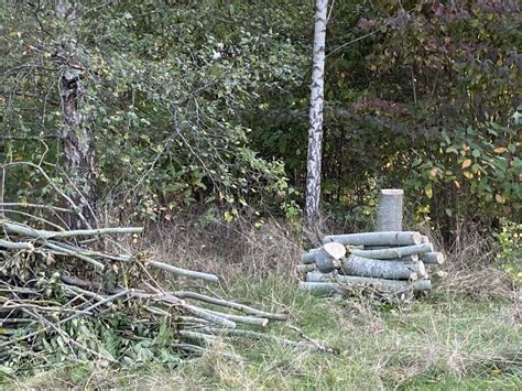 Crucial Tree Thinning Work At Centenary Field Frampton Cotterell