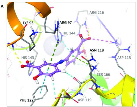 Interaction Diagram Of Phenytoin Catechol With The Gtpch1 Binding Download Scientific Diagram
