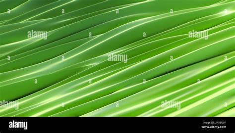 Illustration Of A Vibrant Green Abstract Background With 3D Wavy Lines