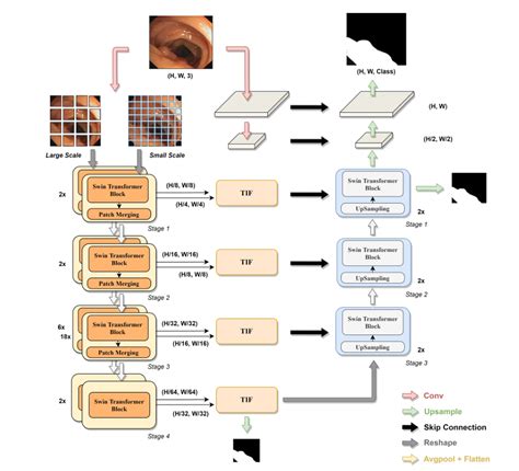 0 Ds Transunet Dual Swin Transformer U Net For Medical Image Segmentation Blog