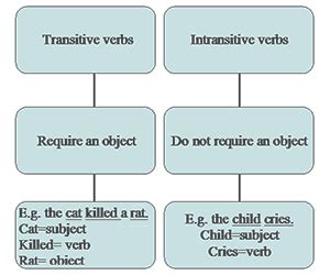 Transitivity The Daily Omnivore