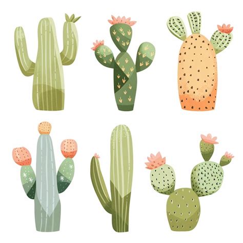 Premium Vector A Collection Of Cactus And Cactus Illustrations
