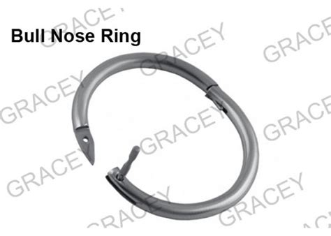 Bull Nose Ring