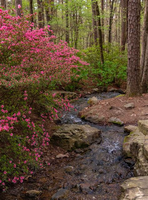 Guest Jane Jamison Photo Workshop Adventures