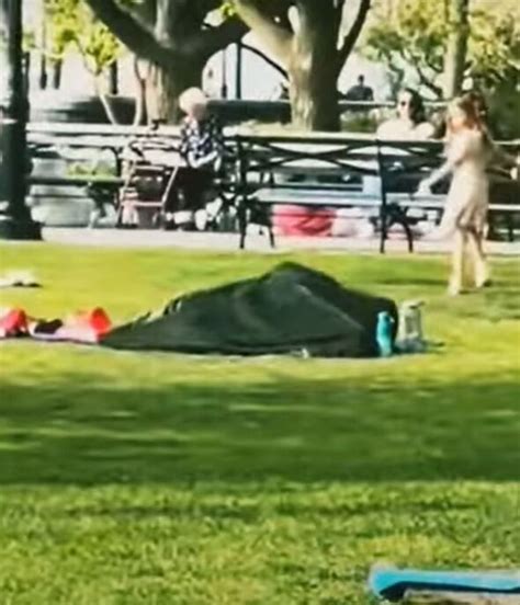 Video Of Love Making Couple Under Blanket In Busy New York City Park