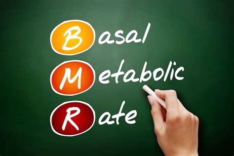 Basal Metabolic Rate Calculation Tool Gear Up To Fit