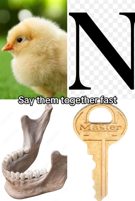 Say Them Together Fast Chick Can Jog Key Chick Jaw Key Know Your Meme