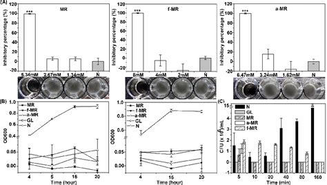 Figure 4 From The Novel Property Of Heptapeptide Of Microcin C7 In Affecting The Cell Growth Of