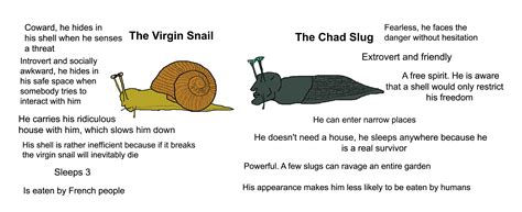 Oc Virgin Snail Vs Chad Slug Rvirginvschad