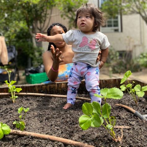 Communityfirst Growinghopegardens Givebacktothecommunity Beth Orourke